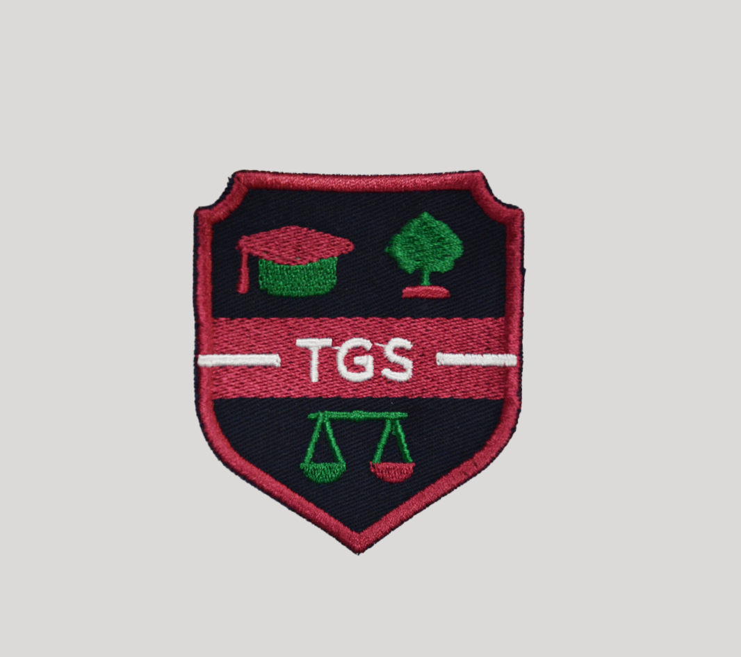 Insignia | TGS – Al Colegio